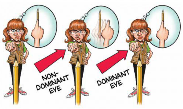 Determining the Dominant Eye - PullUSA Magazine