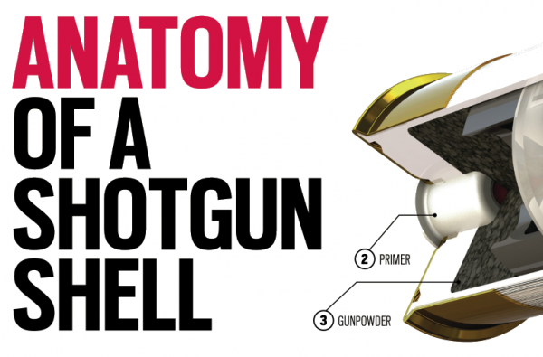 ANATOMY OF A SHOTGUN SHELL - PullUSA Magazine